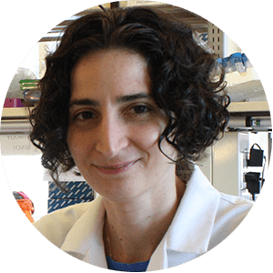 Consortium | VANGUARD